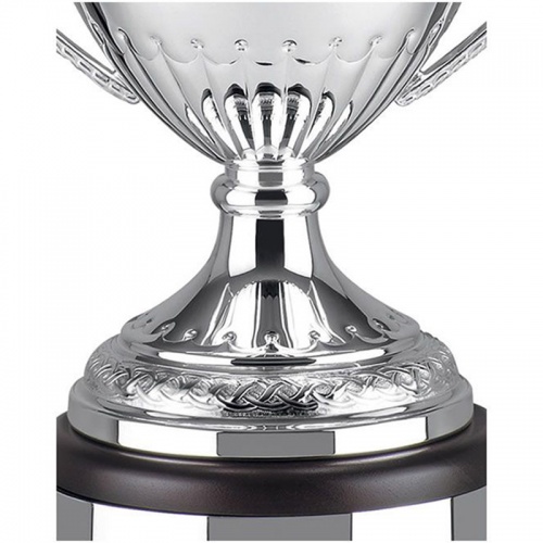 The Ultimate Celtic Cup - Prestige Silver Trophy with Celtic Design ...